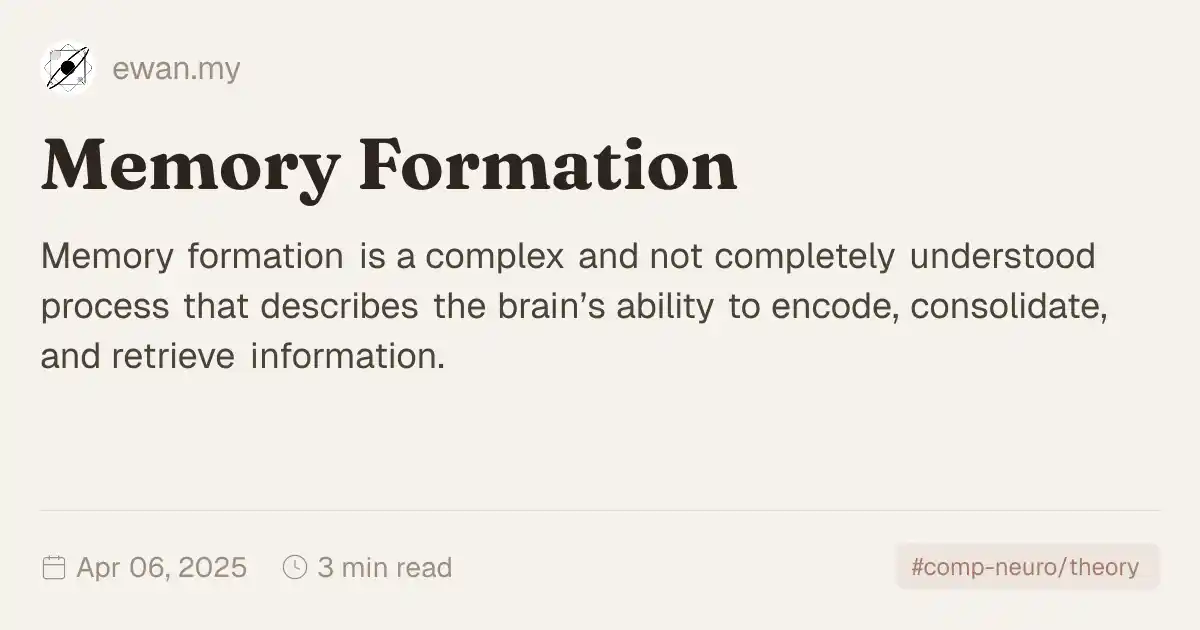 Memory Formation
